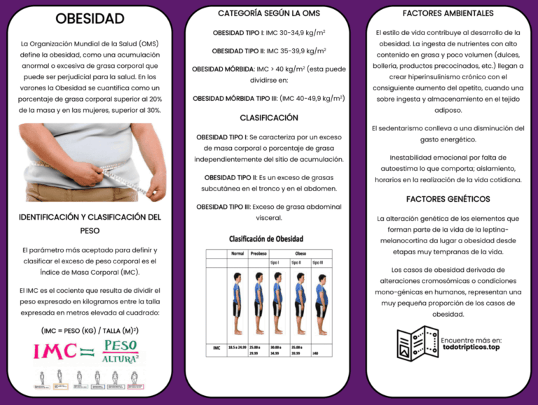 Trípticos de las Adicciones 【Descargar】
